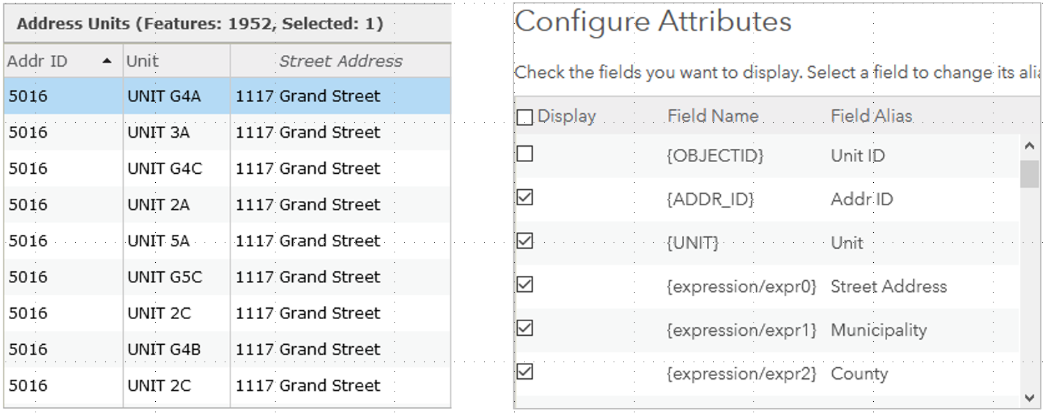 Using Arcgis Arcade To Power Your Pop Ups Part 1 Software Development Company In Nyc